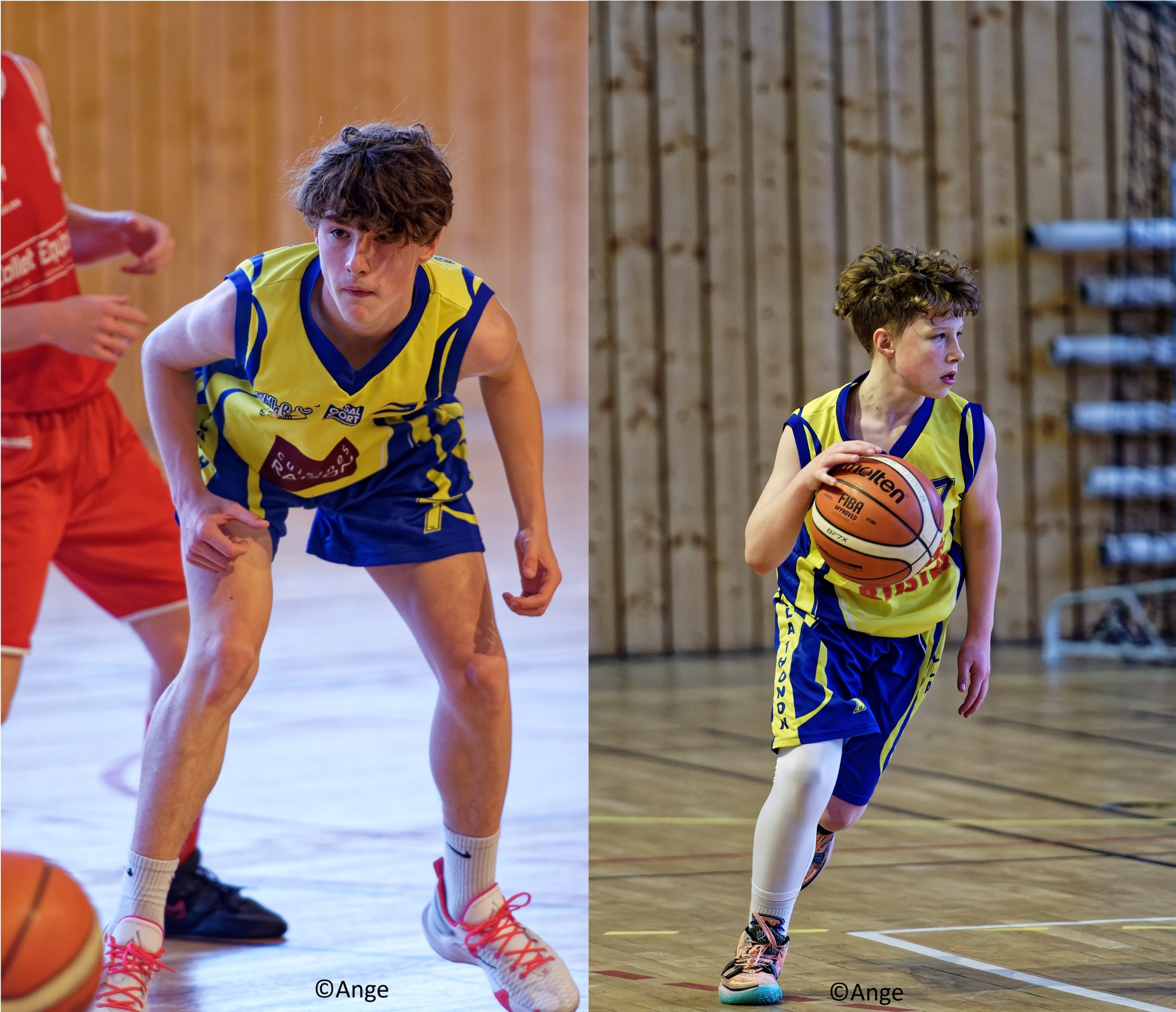 Stella Basket Thonon